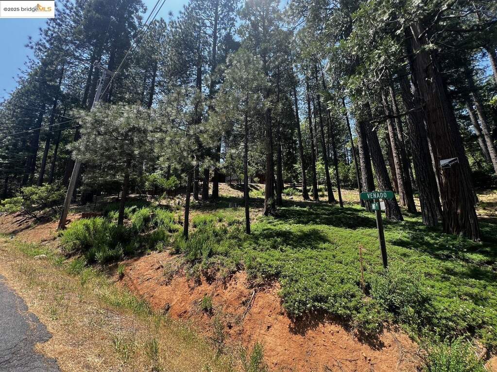 2904 Venado Dr, Arnold, CA 95223 | MLS# 41095482 | Christie's ...