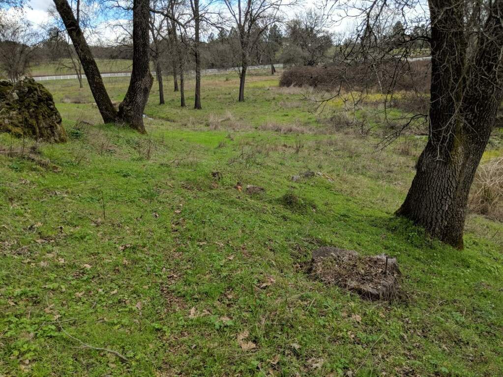 8100 Mt Aukum Road, Mount Aukum, CA 95684 | MLS# 221135998 | Christie's ...