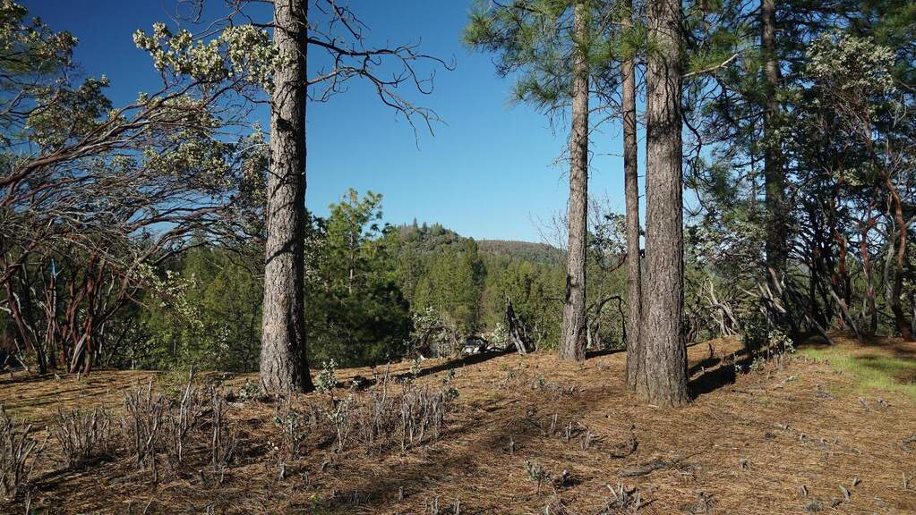 660 Chief Kelly Drive, Nevada City, CA 95959 | MLS# 225047426 ...