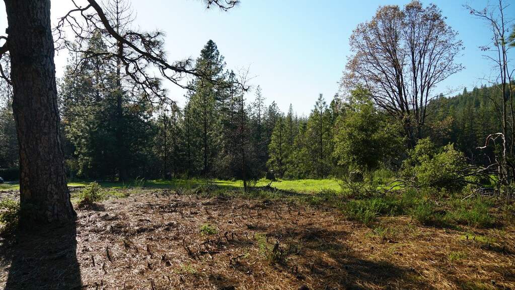 660 Chief Kelly Drive, Nevada City, CA 95959 | MLS# 225047426 ...