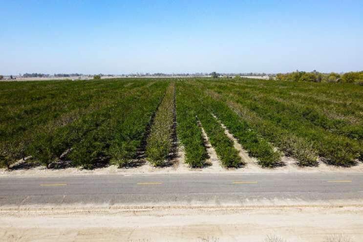 0 Lacey Boulevard, Lemoore, CA 93245 | MLS# 225153537 | Christie's ...